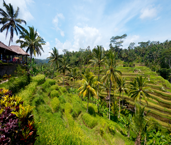 Circuit Indonésie | Entre Plages Et Rizières À Bali - Au coeur du voyage